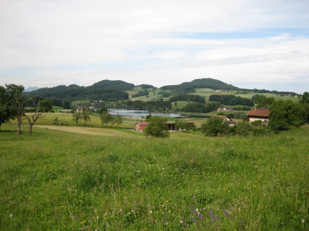 Balade aux alentours du Lac de Bret – VeloEplaisir